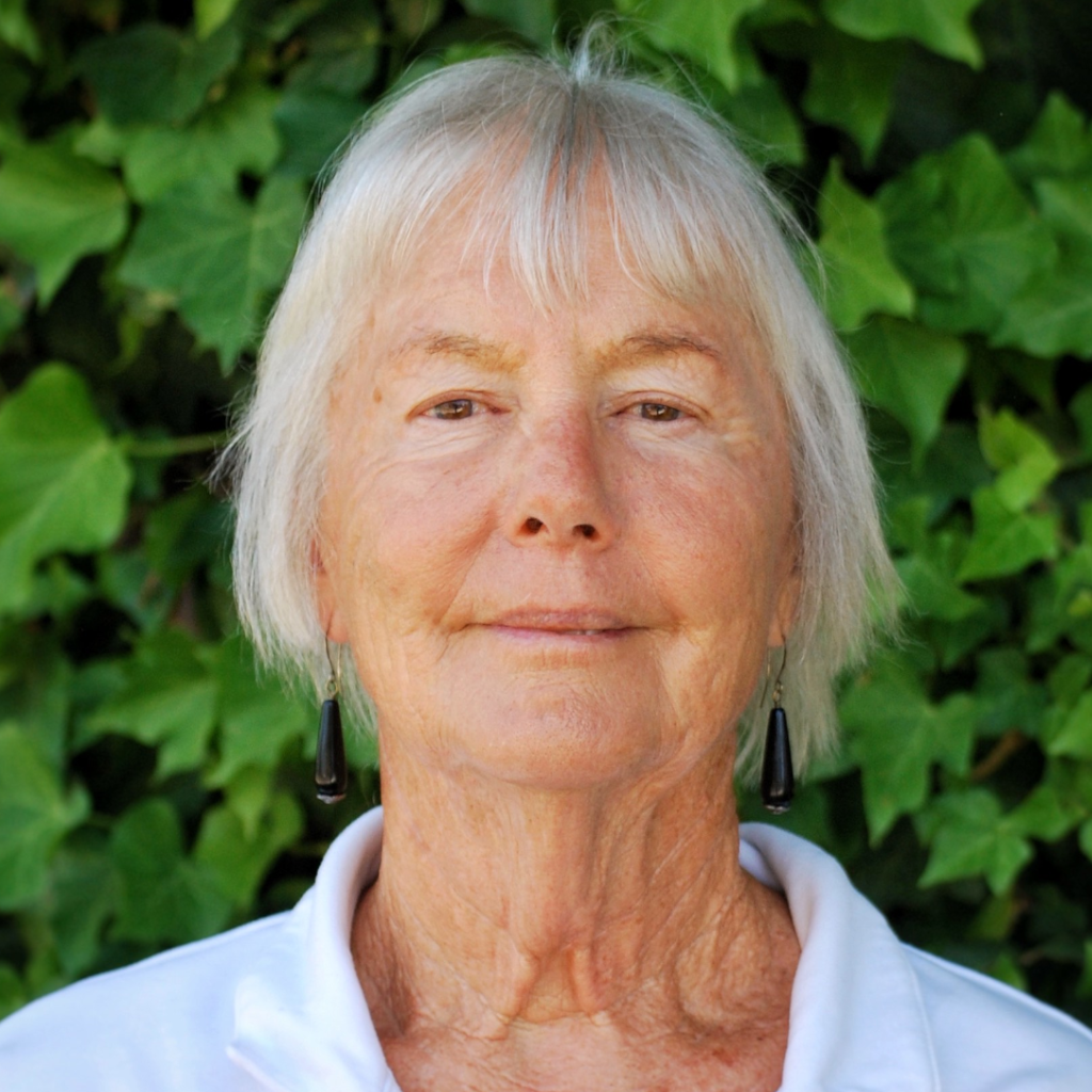 Project Sanctuary | About Us